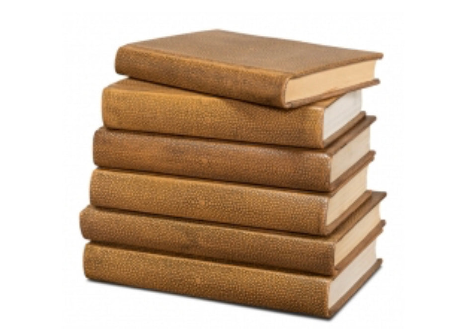 Shagreen Book, Tawny Brown – Regency Interiors